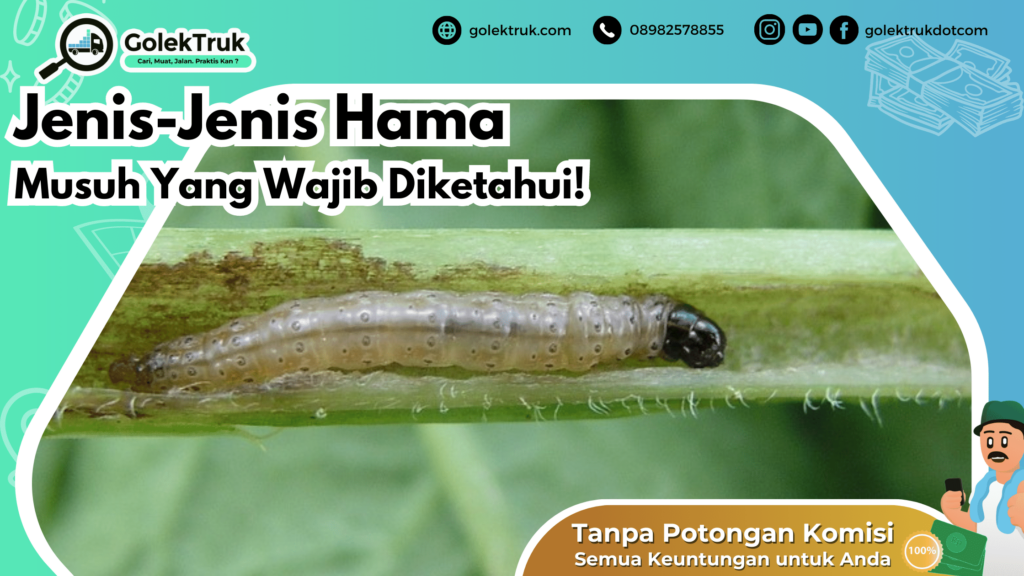 Jenis-Jenis Hama: Musuh Yang Wajib Diketahui! - GolekTruk.com Blog