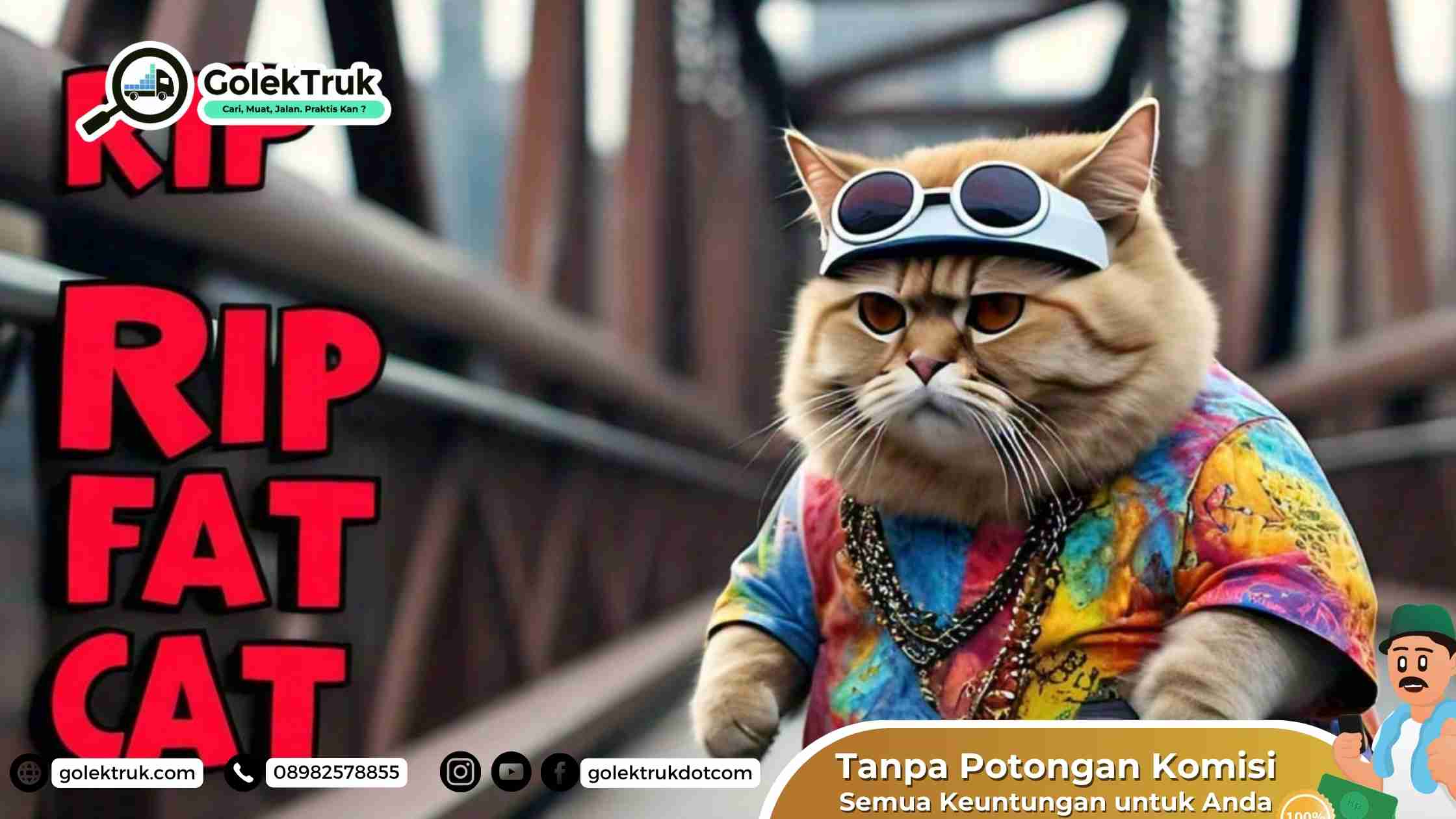 Ciri Ciri Lelaki Setia: Rahasia 5 Ciri Pria Setia Dan Hubunganya Dengan Kasus Fat Cat Yang Viral ...